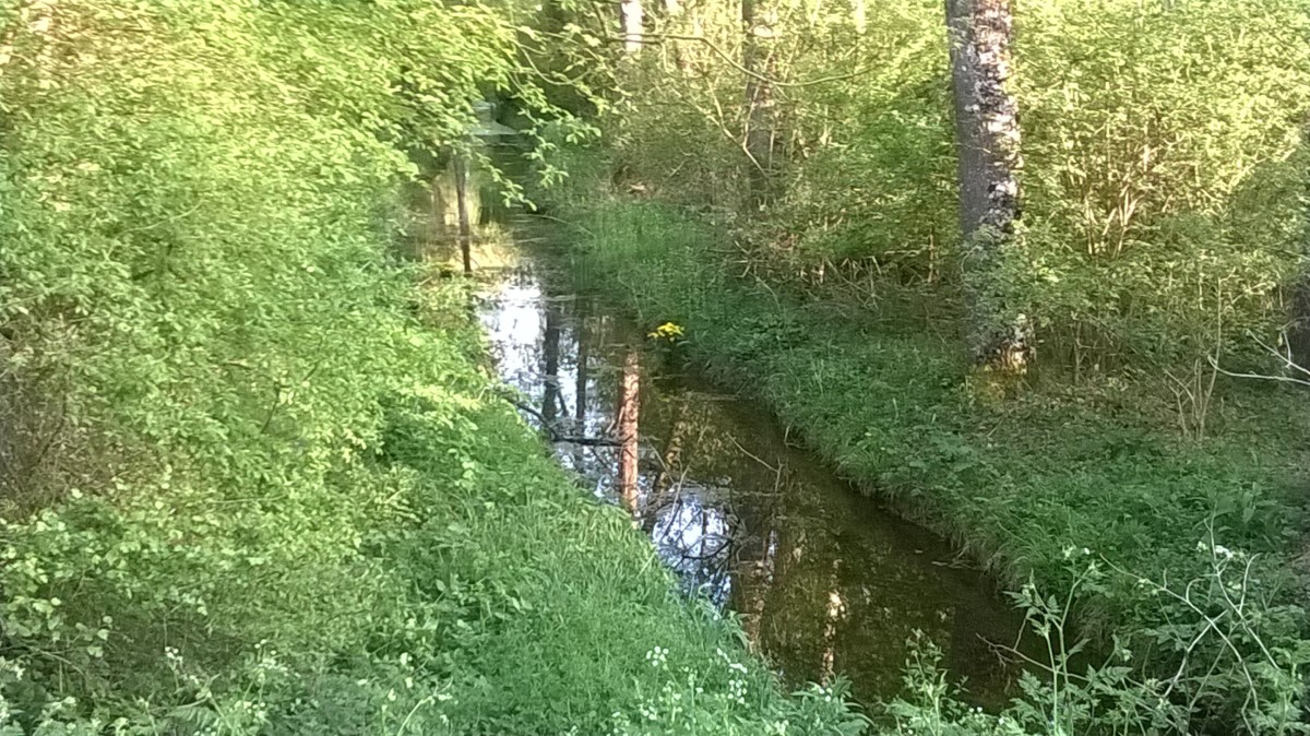 Quelle est la définition du cours d'eau ? - Terre Connect Quelle est la définition du cours d'eau ? - Terre Connect