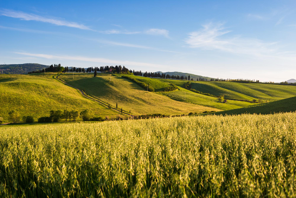 Indice national des fermages 2025 : + 0,42 % - Terre Connect